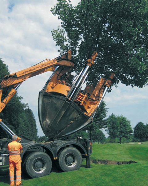 Optimal 2500 Tree Spade | North America Sales and Service